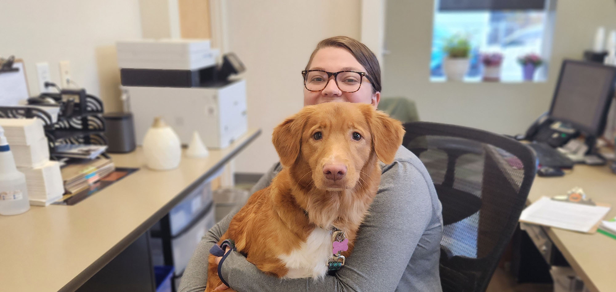 Veterinary Appointment In East Greenwich, RI 02818 | Hill & Harbour ...